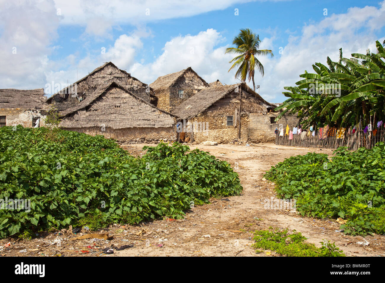 Pate Town, Pate Island near Lamu Island, Kenya Stock Photo - Alamy