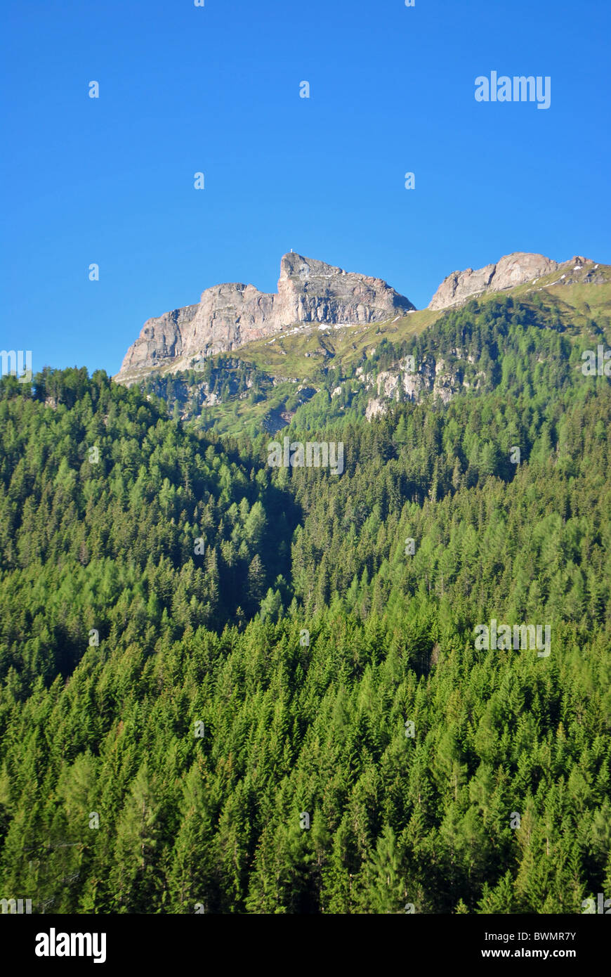 Summer portrait of Italian Dolomites in val di Fassa South Tyrol Alps ...