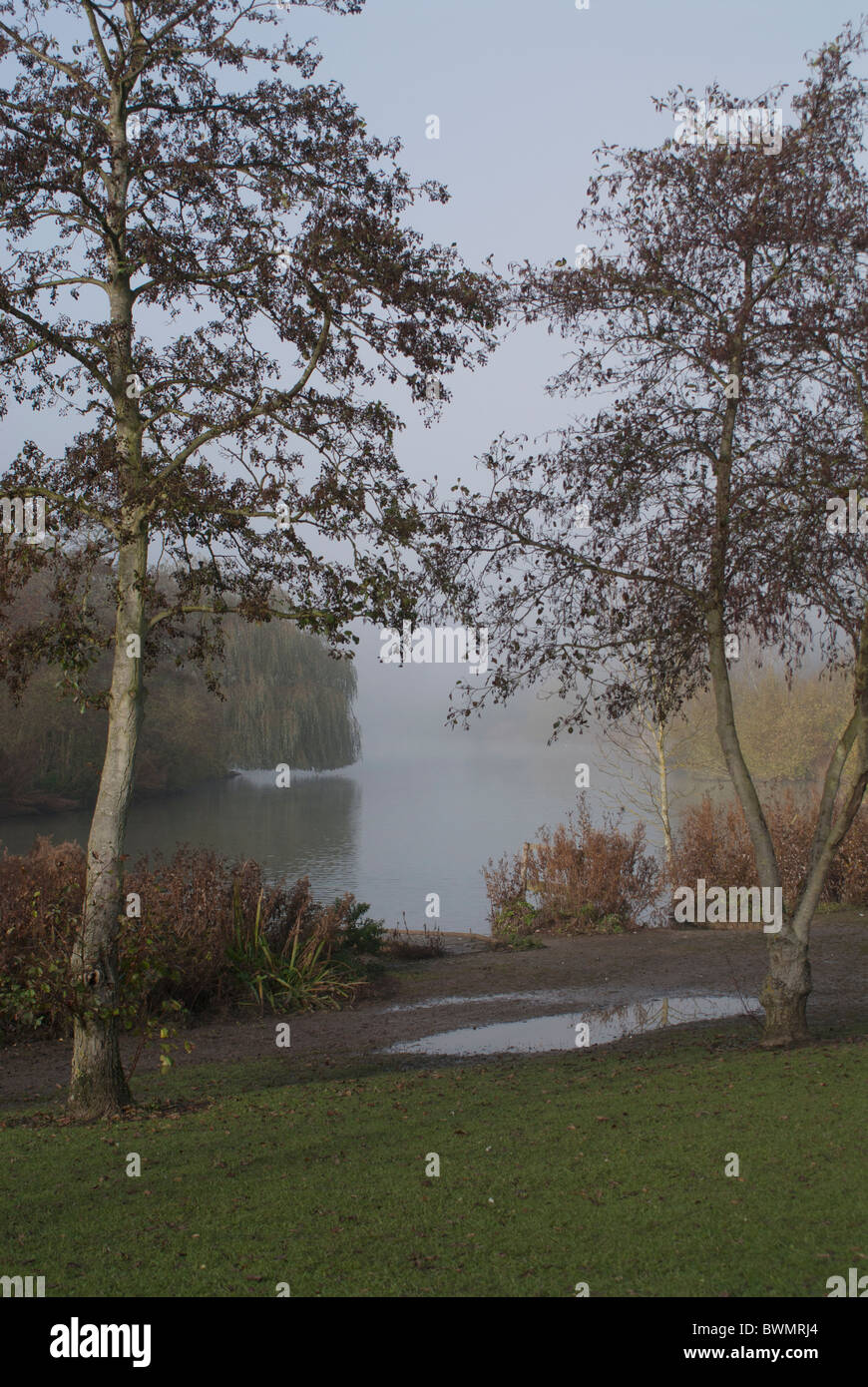 Misty Lake and Trees Scene Stock Photo - Alamy