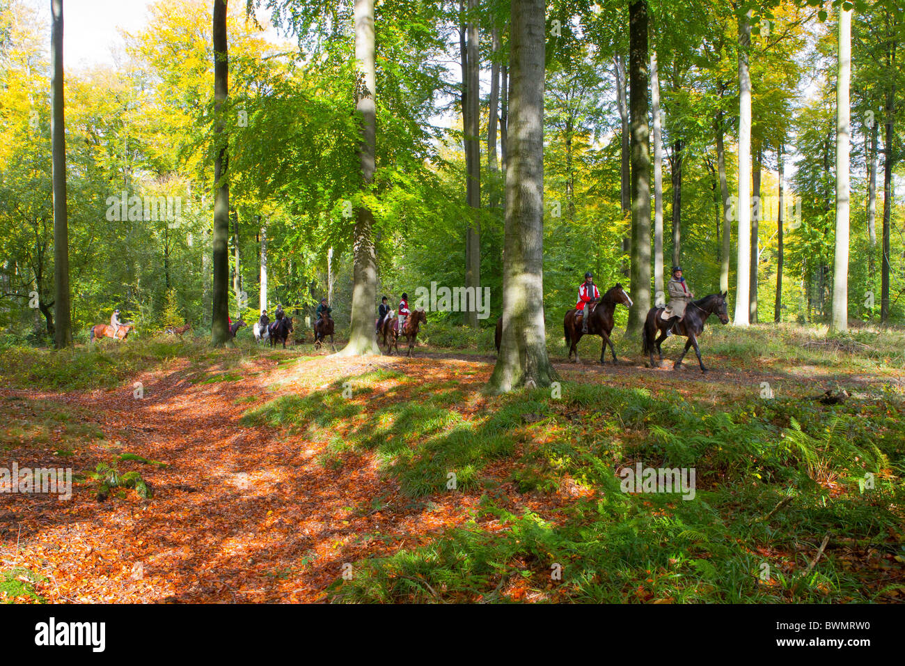 Horse rider hi-res stock photography and images - Alamy