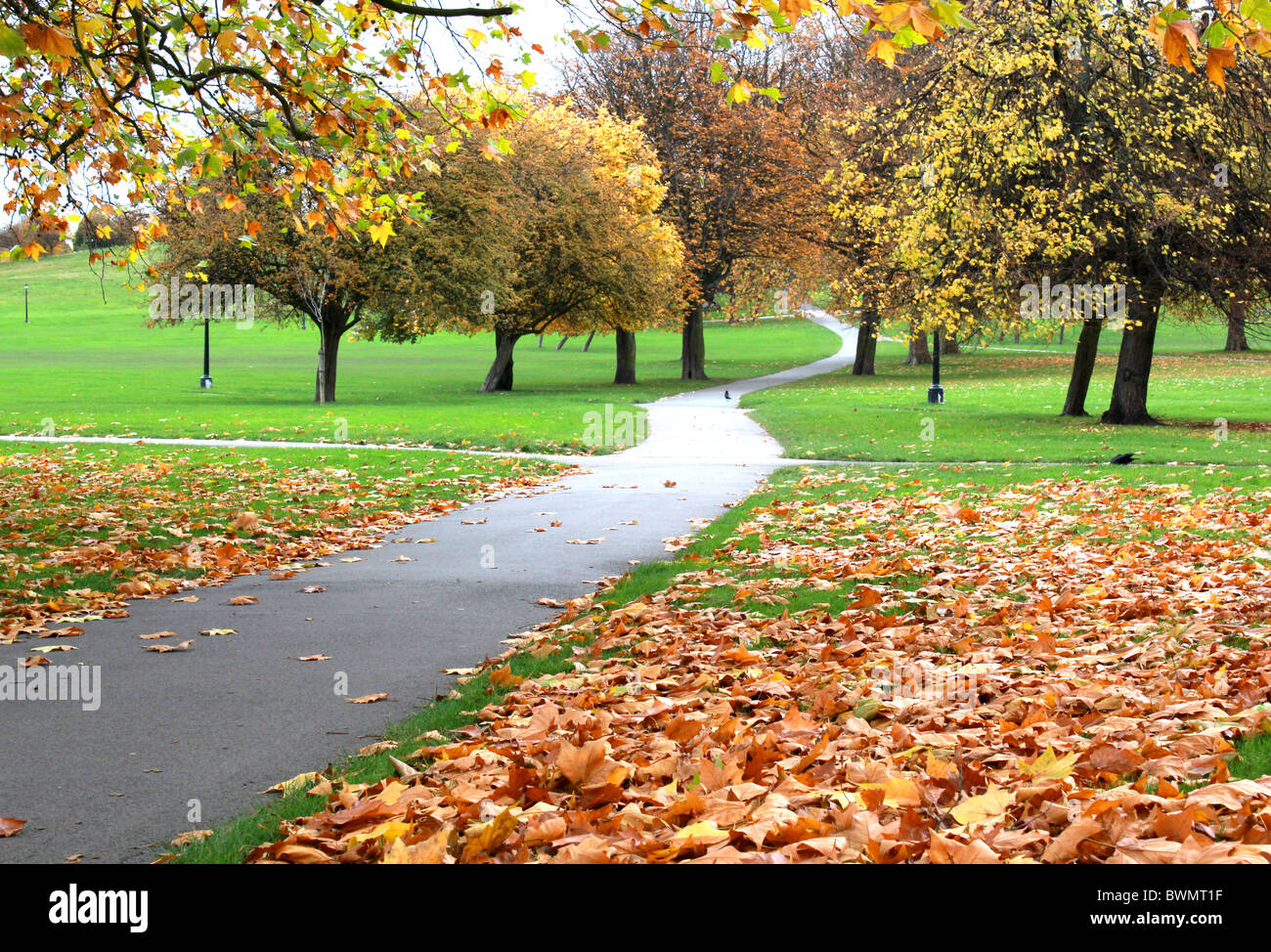 Winding hill footpath hi-res stock photography and images - Alamy