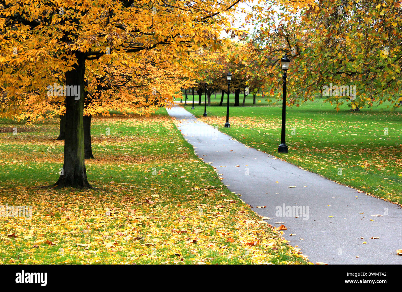 A footpath on Primrose Hill in London with autumnal trees and lamp ...