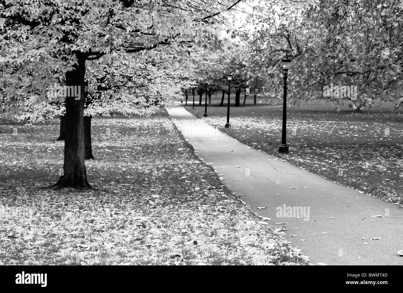 A black and white image of a footpath on Primrose Hill in London with ...