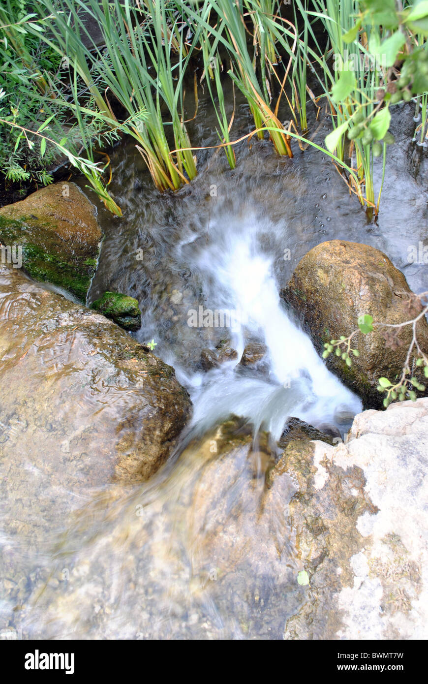 cascade of fresh water and pure fresh and refreshing Stock Photo - Alamy