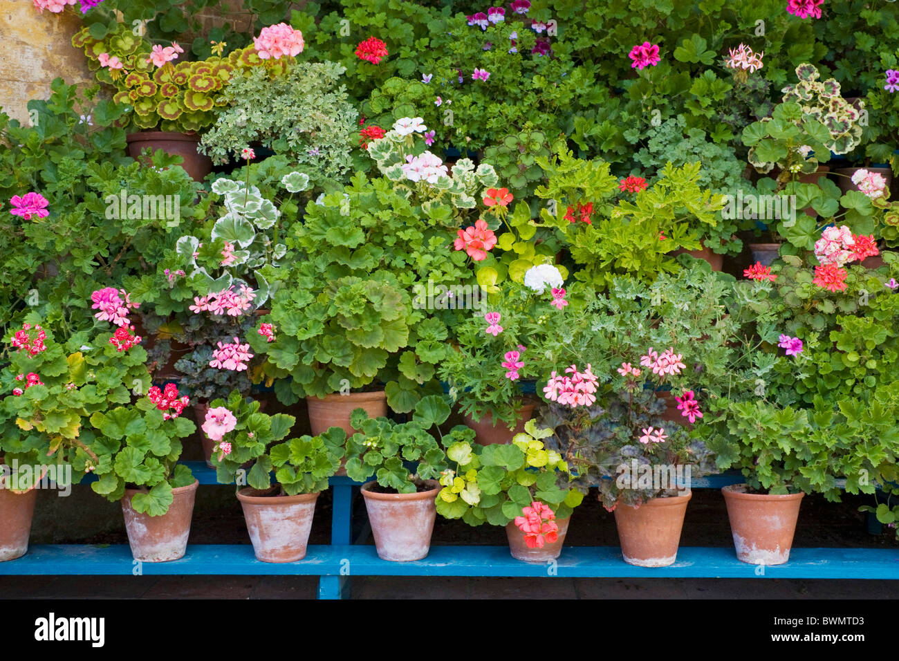 Collection terracotta pots High Resolution Stock Photography and Images ...