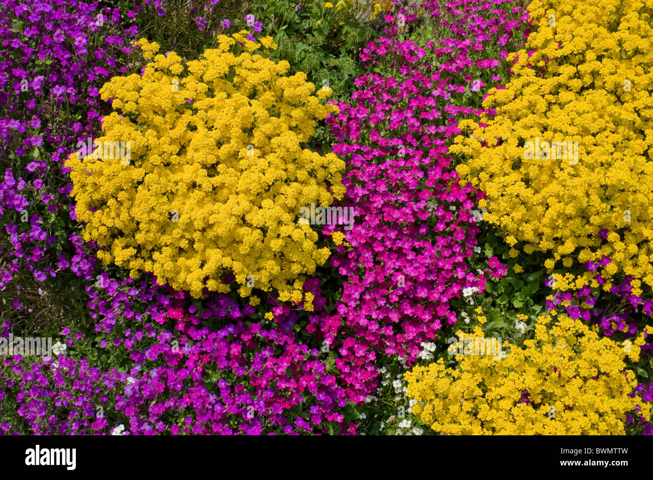 English cottage garden spring hi-res stock photography and images - Alamy