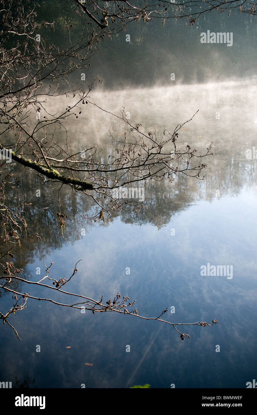 England river mist reflection hi-res stock photography and images - Alamy