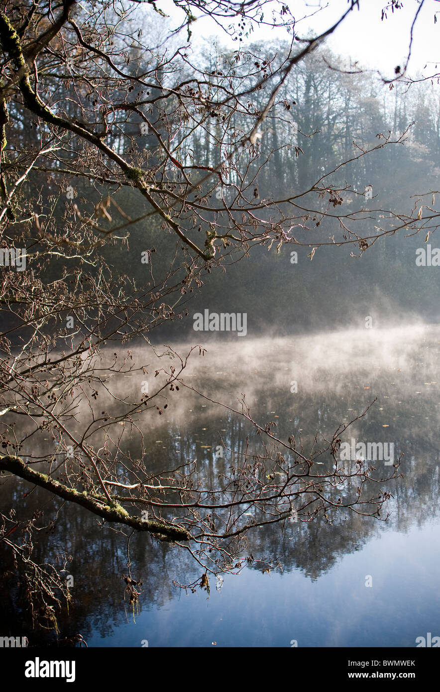 Mist on the river Dart,england, uk, blue, sky, reflection in water,end ...