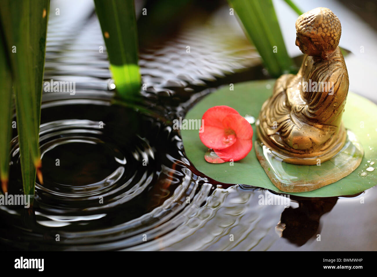 Tibetan buddhist impermanence hi-res stock photography and images - Alamy