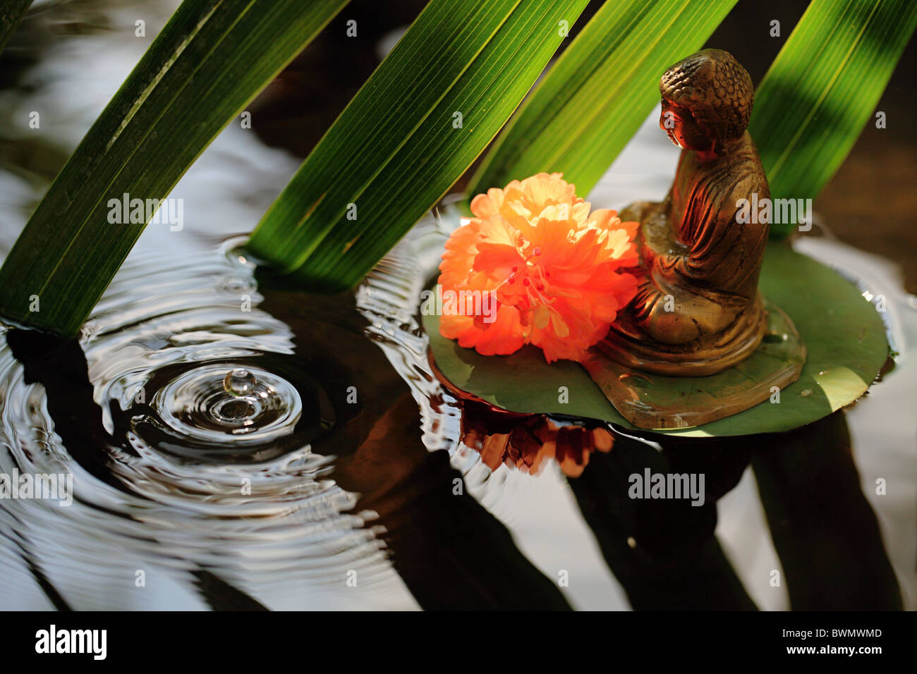 Tibetan buddhist impermanence hi-res stock photography and images - Alamy