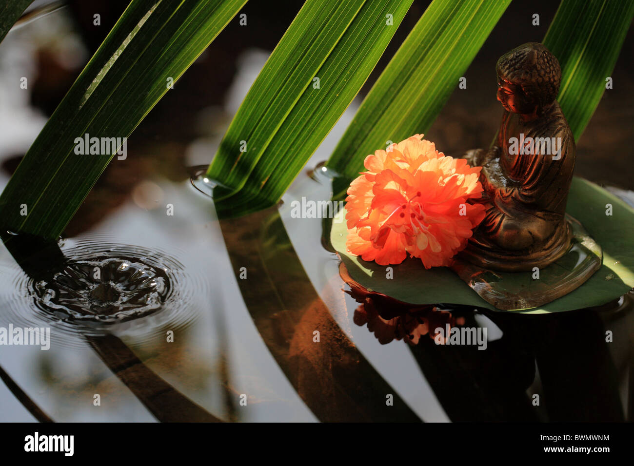 impermanence - the Buddha is in equanimity Stock Photo - Alamy