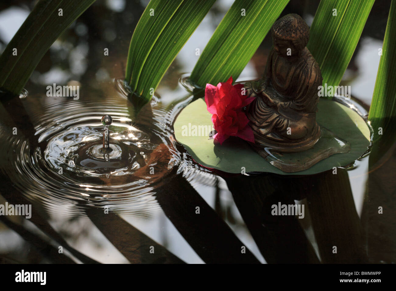 impermanence - the Buddha is in equanimity Stock Photo - Alamy
