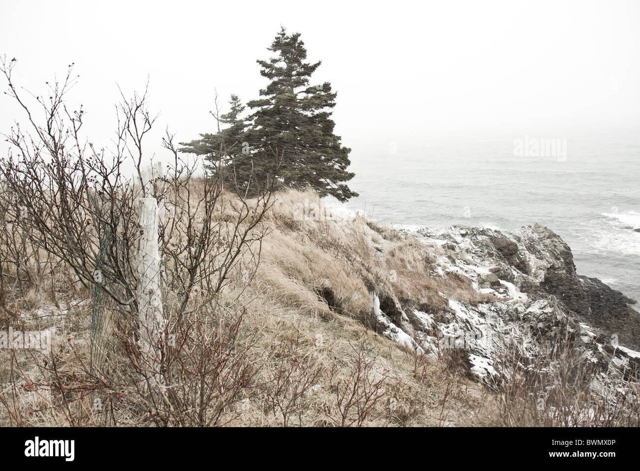 Atlantic Ocean Maine Seas Snow USA Weather Winter Stock Photo - Alamy