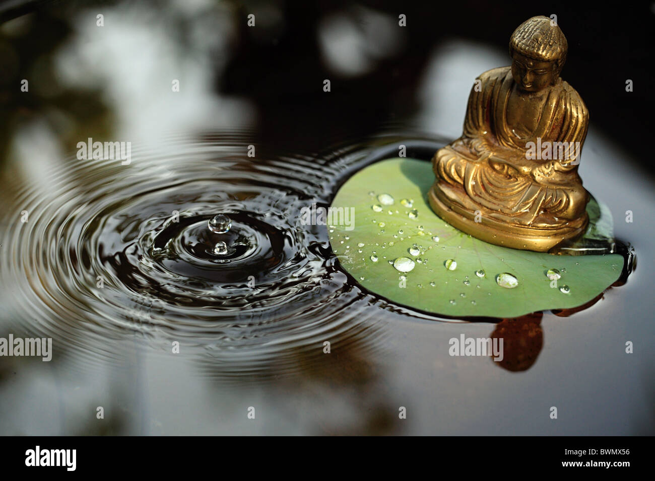 Tibetan buddhist impermanence hi-res stock photography and images - Alamy