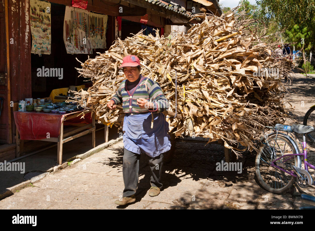Farmer pulling the cart hi-res stock photography and images - Alamy