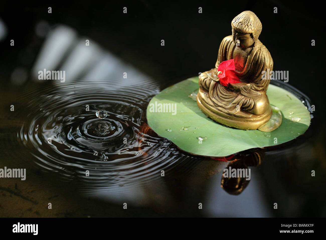 Tibetan buddhist impermanence hi-res stock photography and images - Alamy