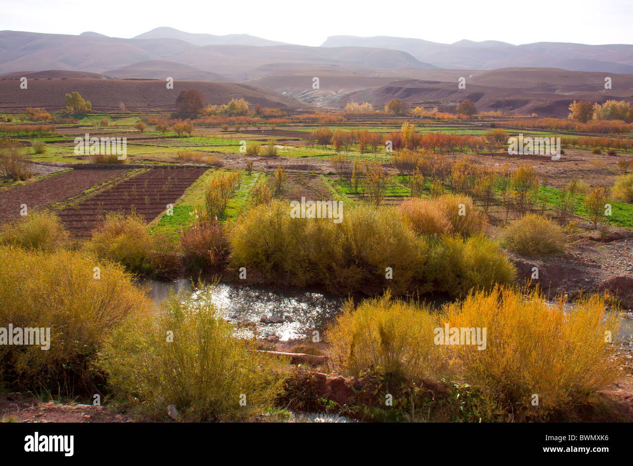 Autumn Dades Valley Farms Morocco Rivers Valley Stock Photo - Alamy