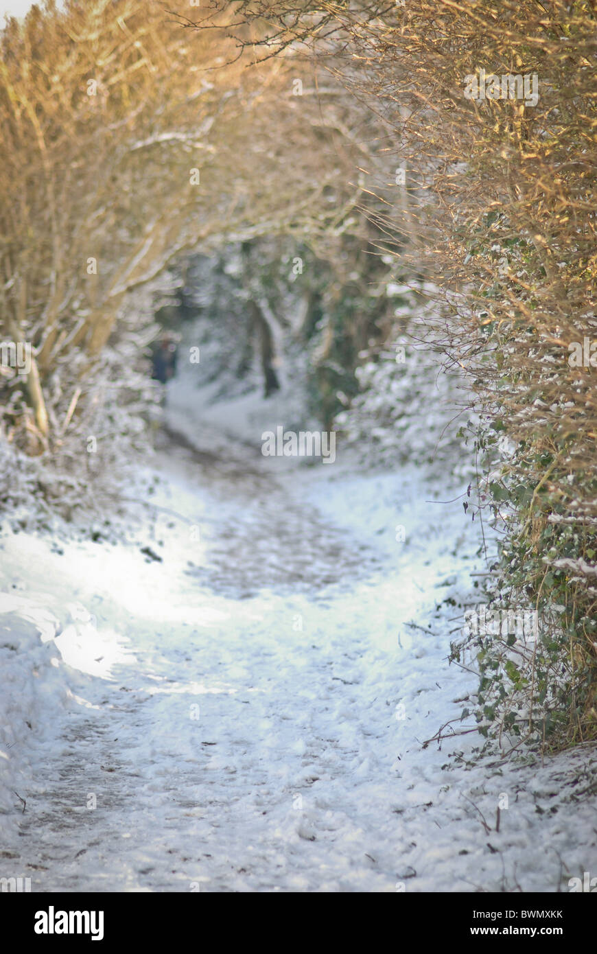 snow up country lane Stock Photo - Alamy