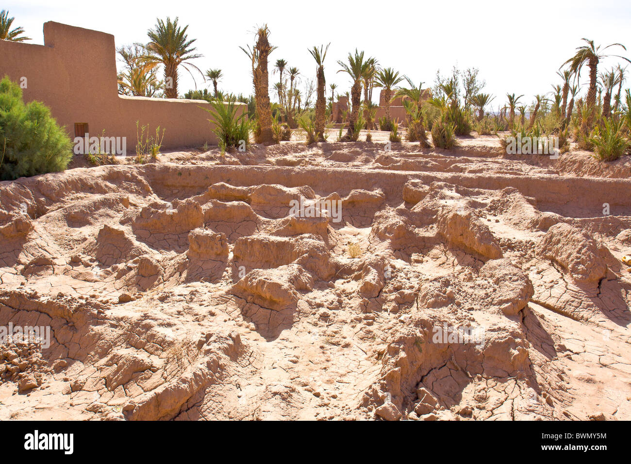 Farms Morocco Palm Tree Palmery Skoura Stock Photo - Alamy