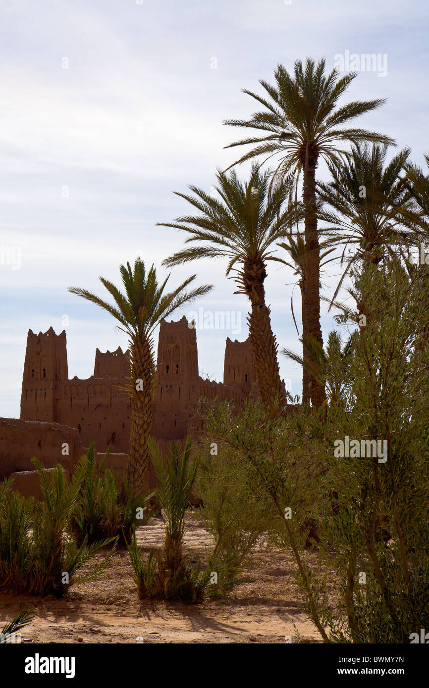 Palm trees skoura morocco hi-res stock photography and images - Alamy