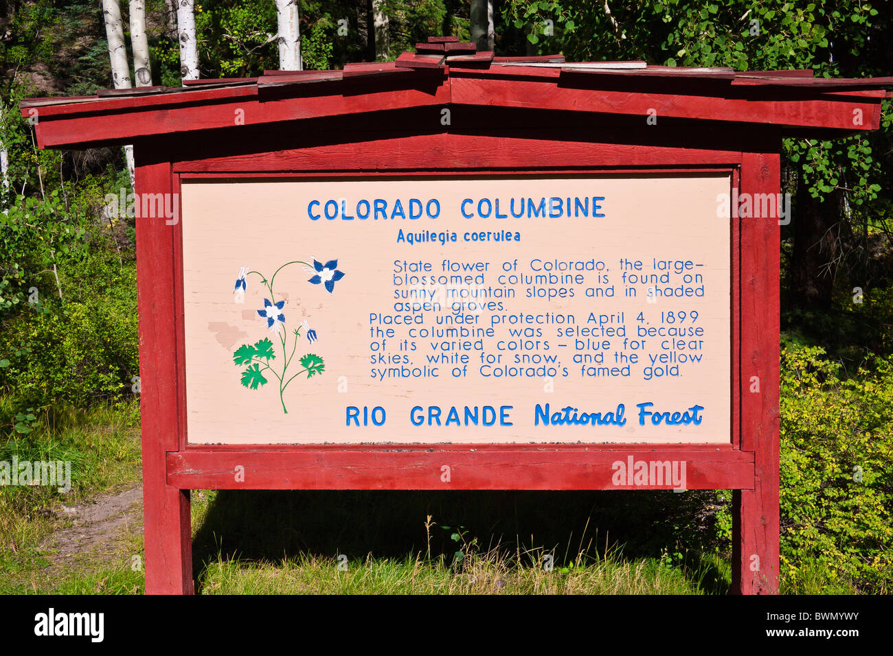 Colorado Columbine interpretive sign, Rio Grande National Forest ...
