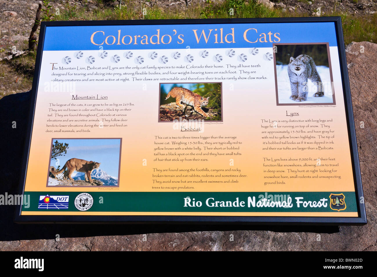 Interpretive sign, Rio Grande National Forest, Colorado Stock Photo - Alamy