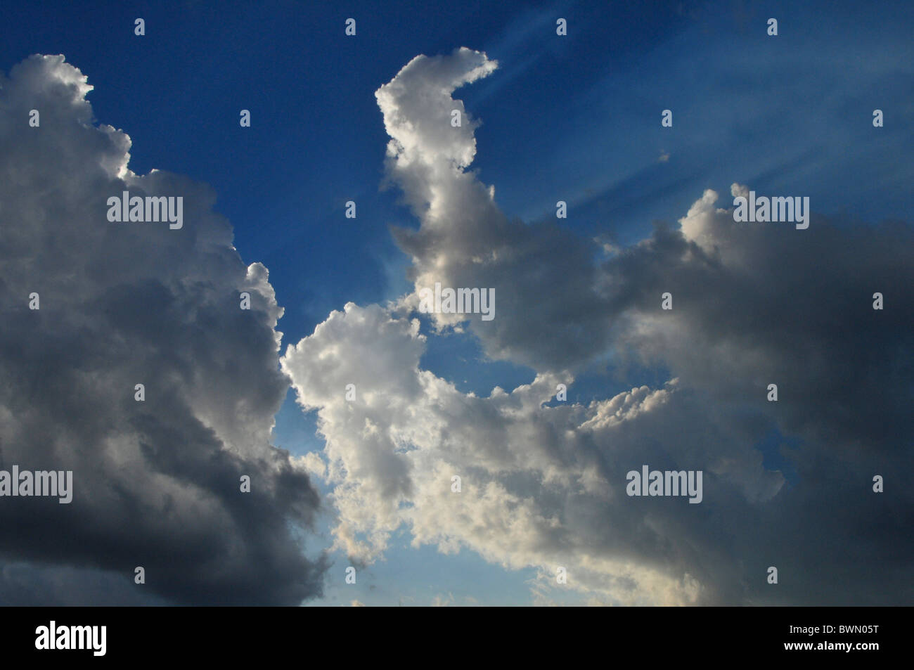A cloud formation of cumulus clouds Stock Photo - Alamy