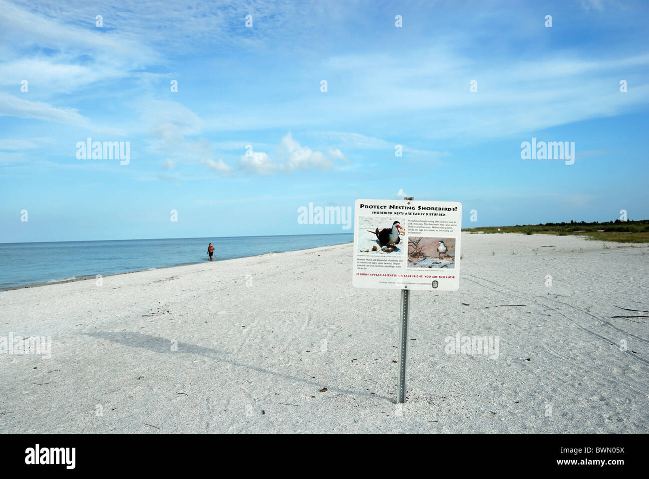 Birds nesting sign hi-res stock photography and images - Alamy