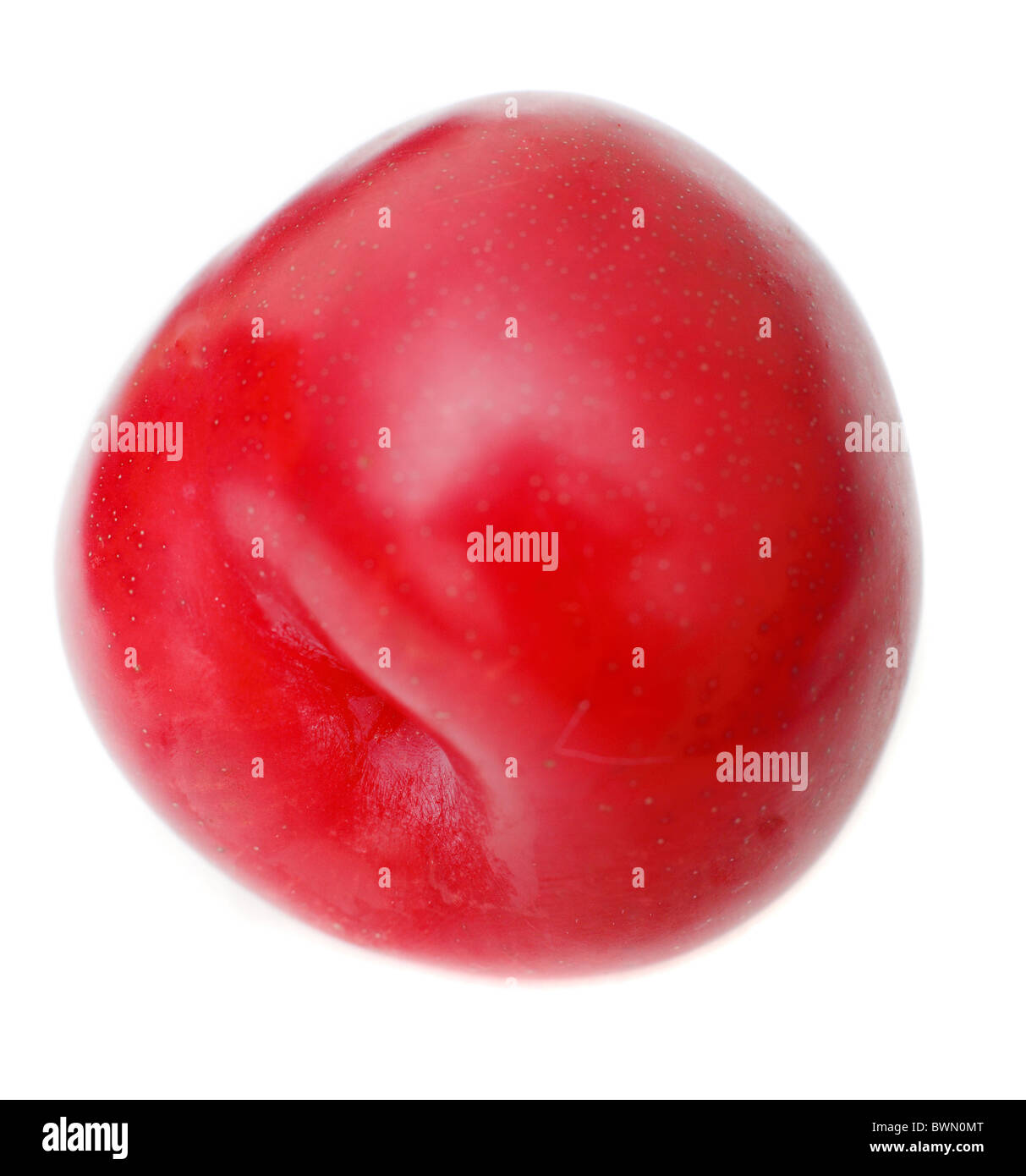 Single Plum Against White Background Stock Photo - Alamy