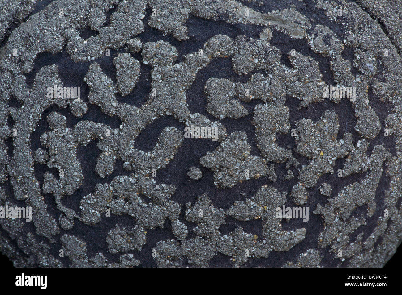 Pyrite on Shale Concretion - Yunnan China Stock Photo - Alamy