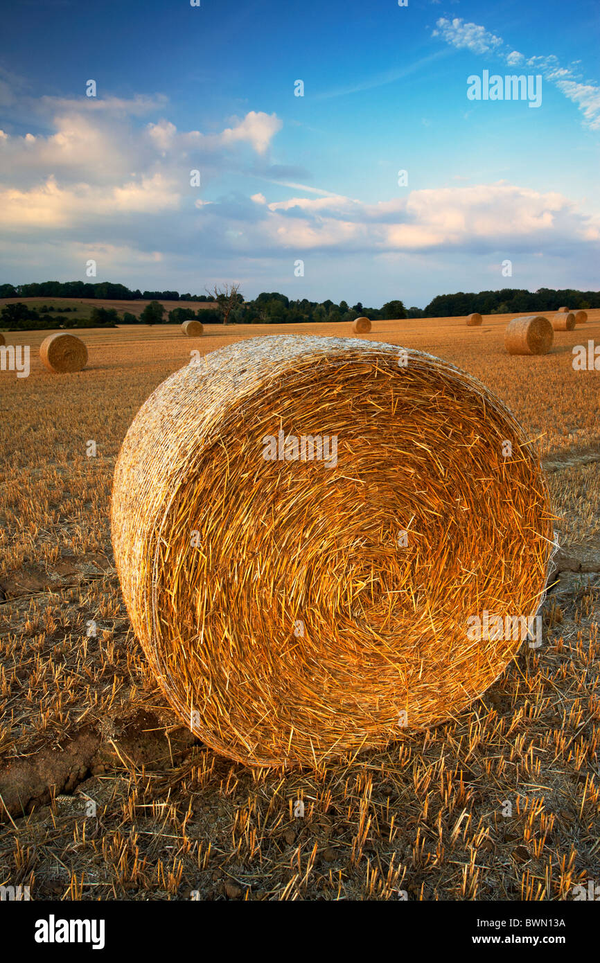 Haybales uk hi-res stock photography and images - Alamy