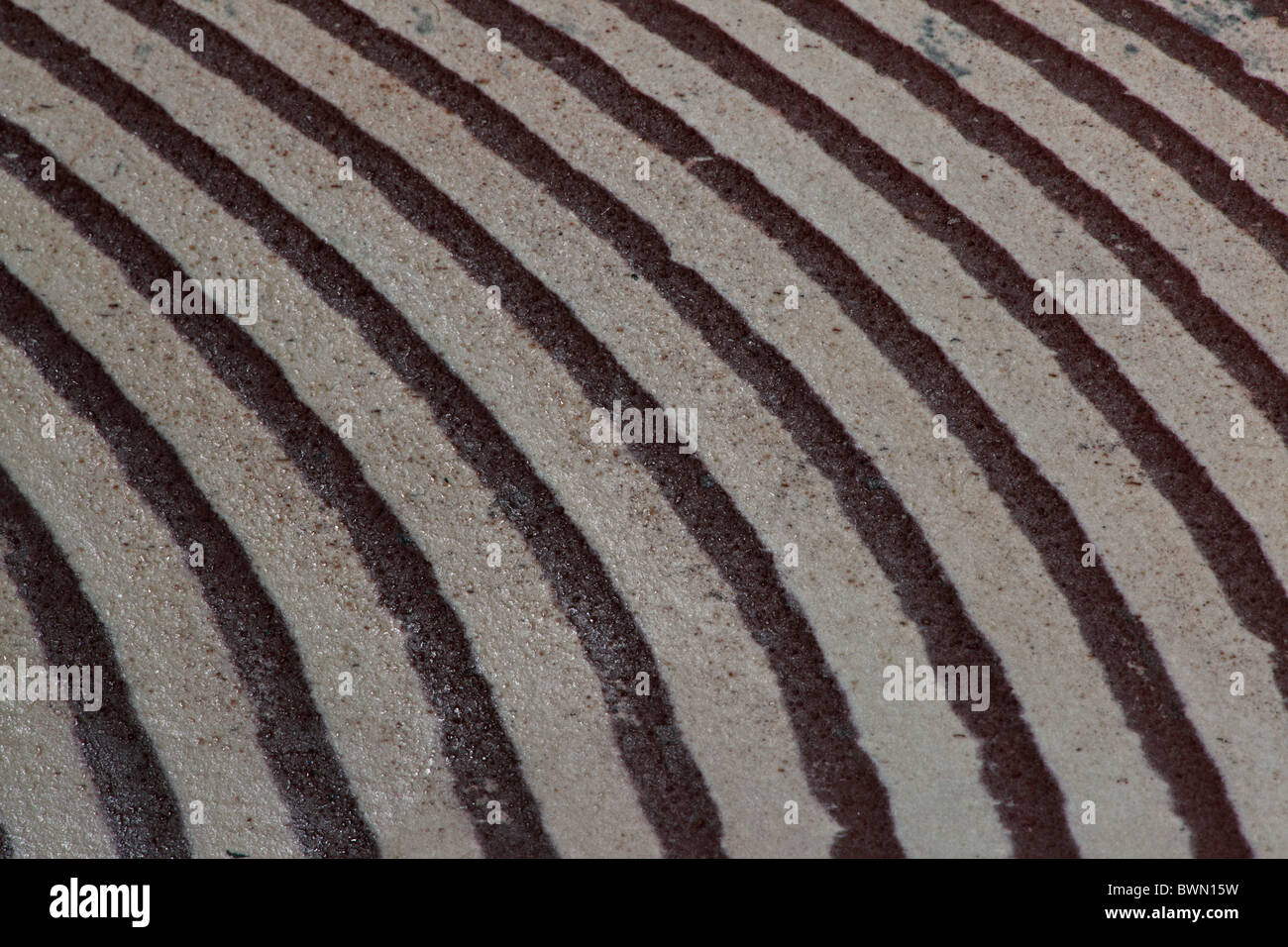 Zebra rock forms lenses and seams hi-res stock photography and images ...