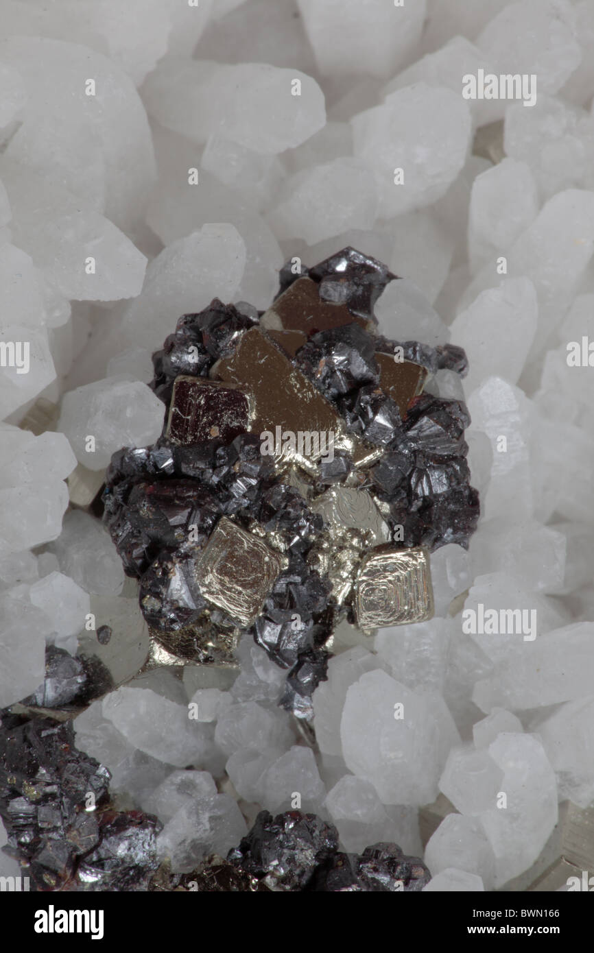 Sphalerite (dark color) - Pyrite (golden color) and Quartz (white color ...