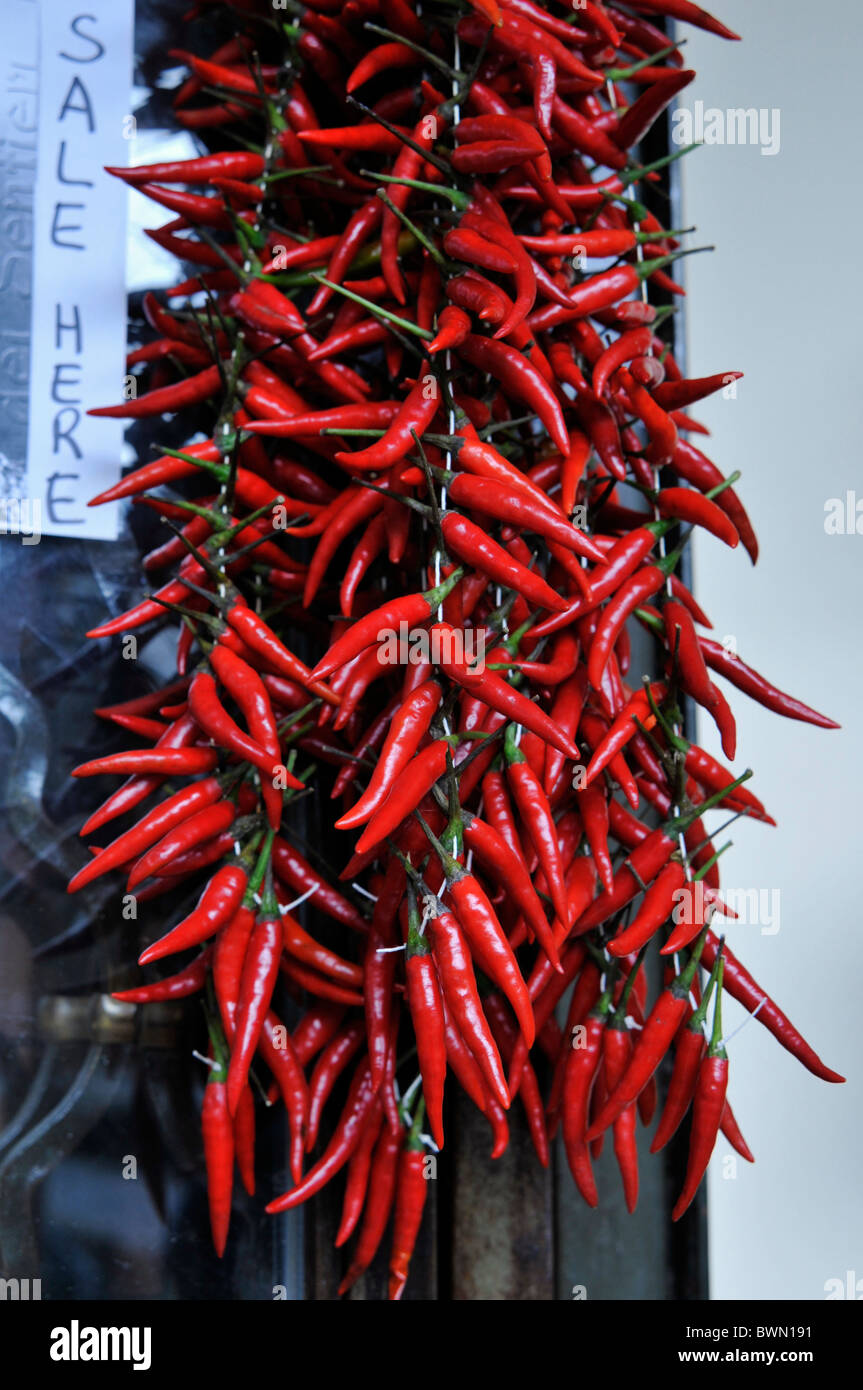 Strings of chillies hi-res stock photography and images - Alamy