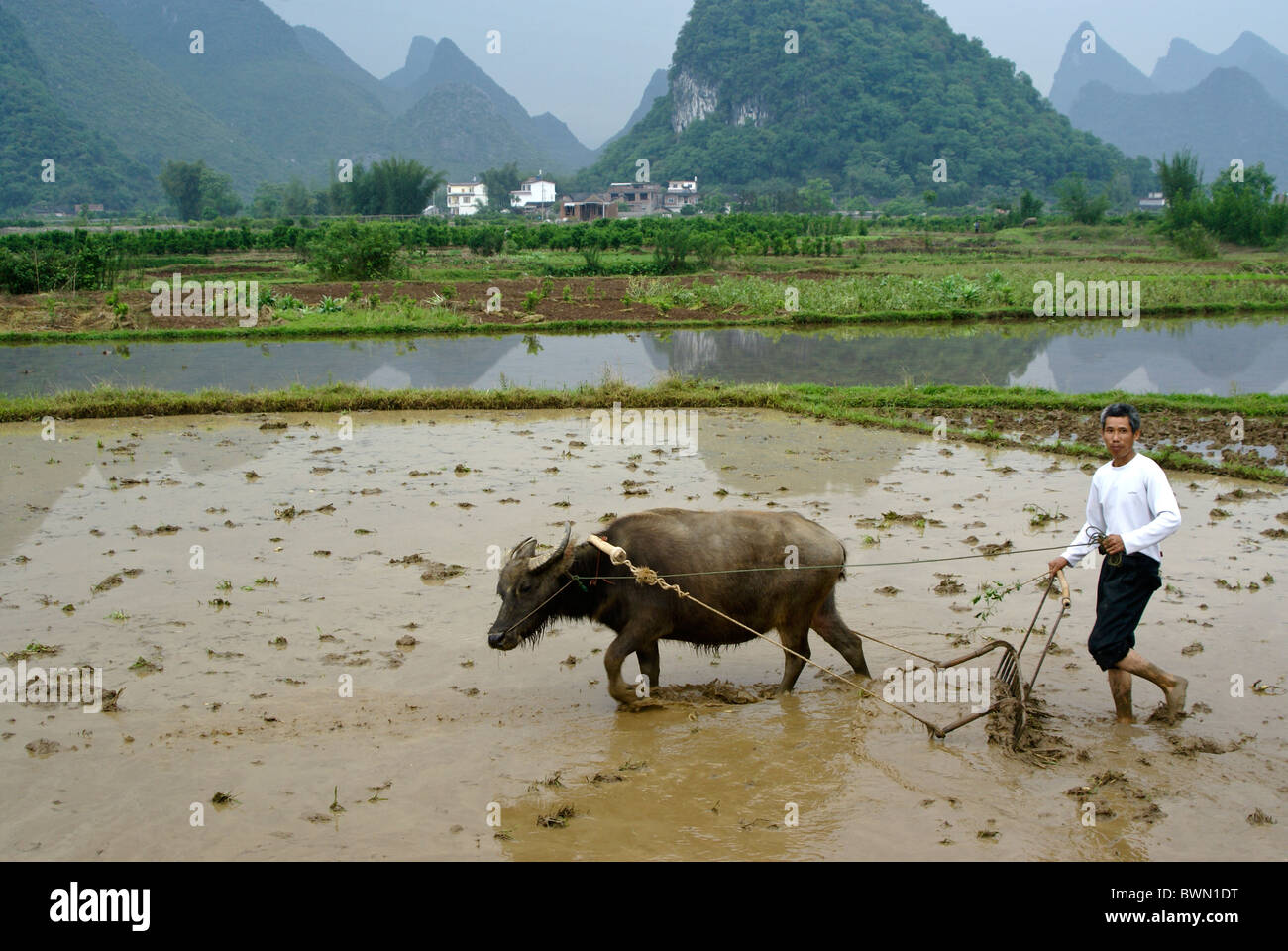 China Rice Paddy Worker High Resolution Stock Photography and Images ...