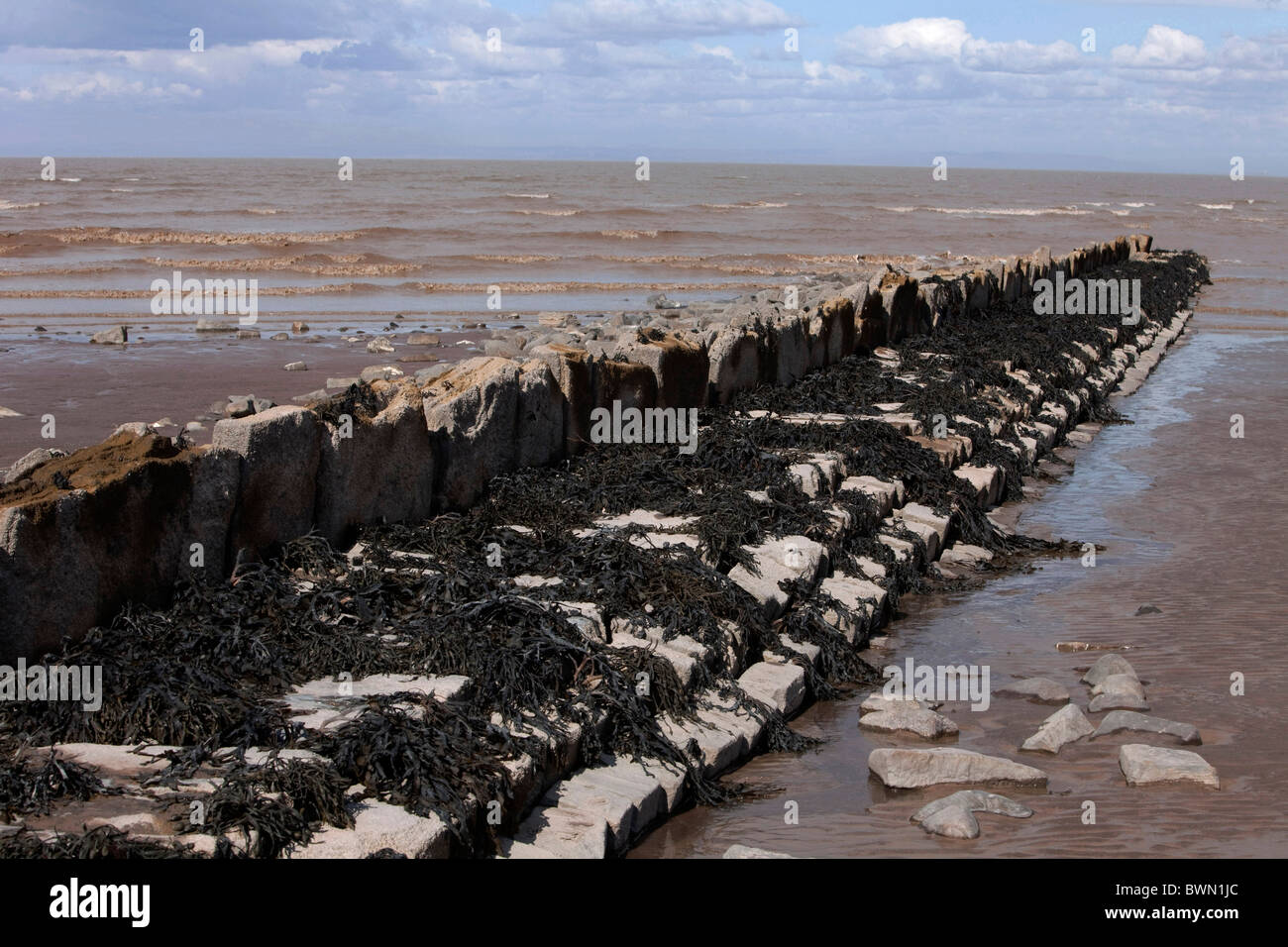 The only trace of a stone groyne from the once working Victorian sea ...