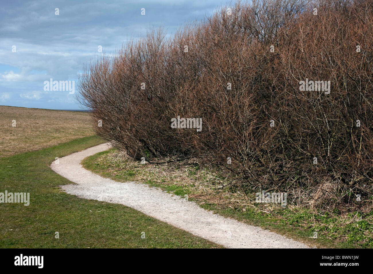 A footpath on the Lilstock to Kilve North Somerset walk leading along ...