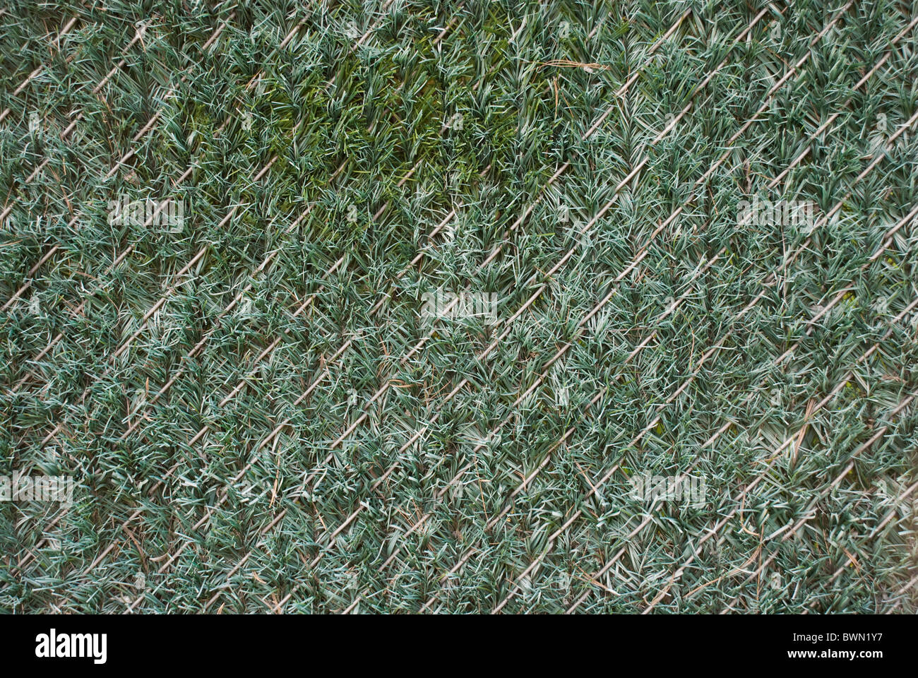 Artificial hedge fence material in chain link fence to obscure and ...