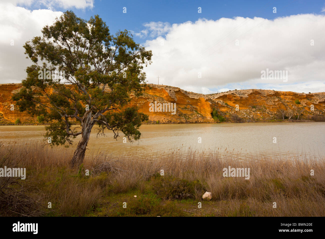 Afternoon light on golden cliffs on the Murray River at Walker Flat ...