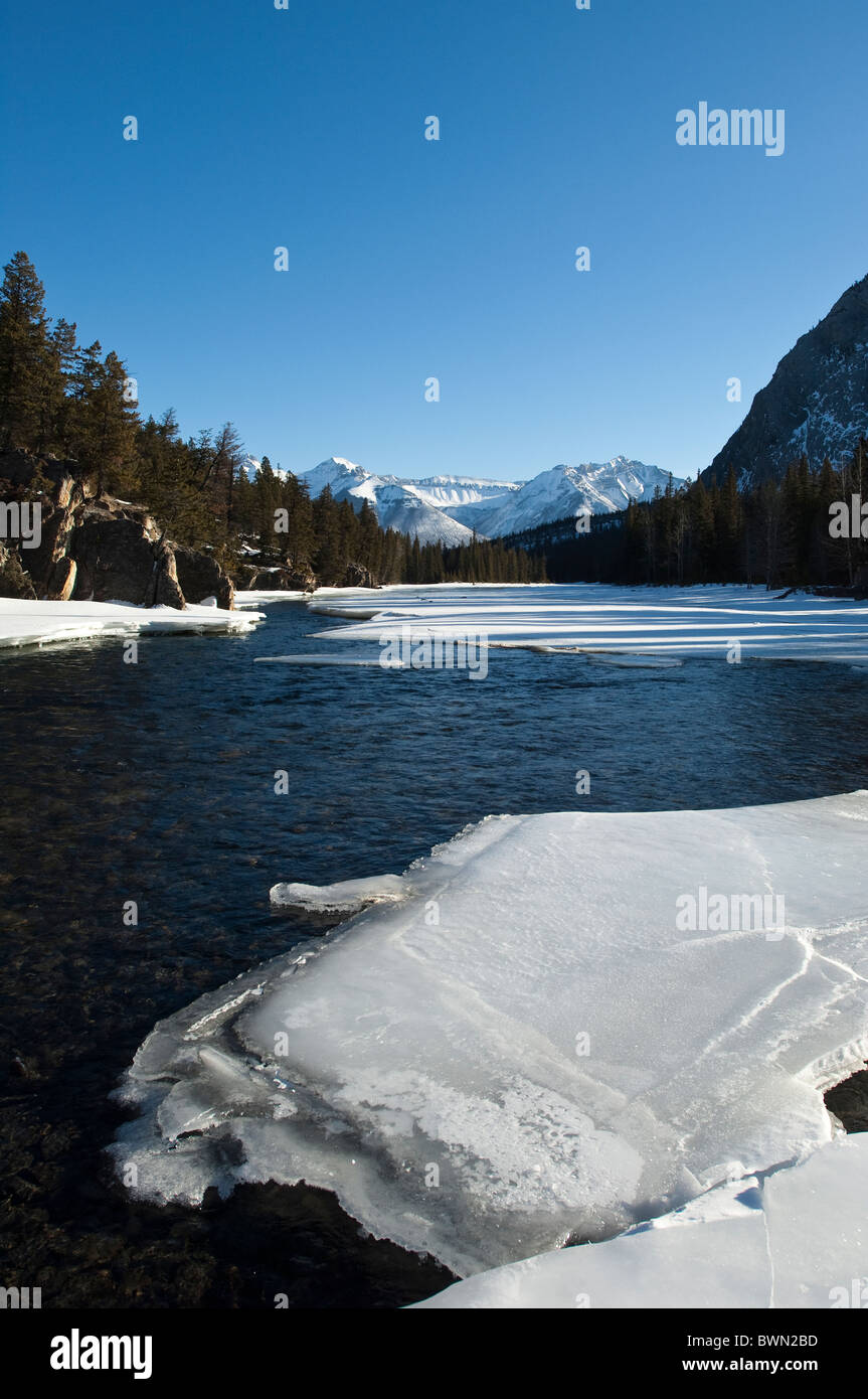 Banff, Alberta, Canada. Bow River Stock Photo - Alamy