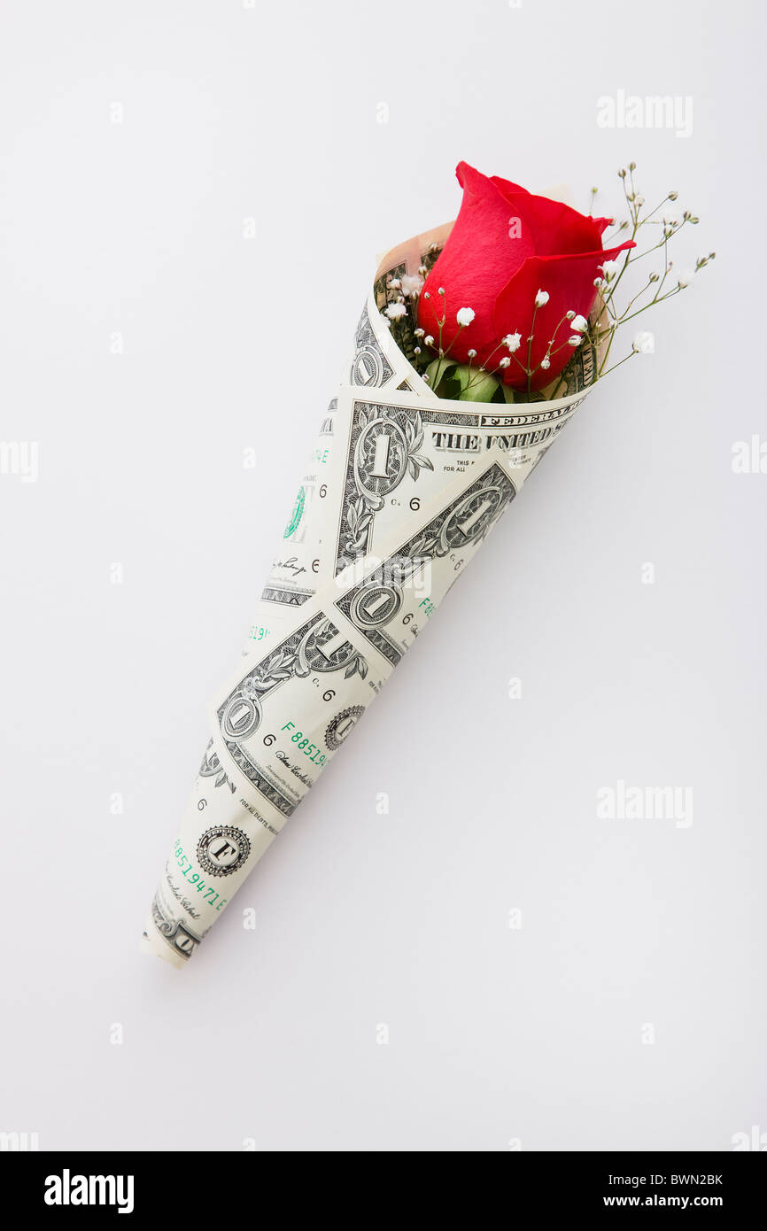 Single red rose money hi-res stock photography and images - Alamy