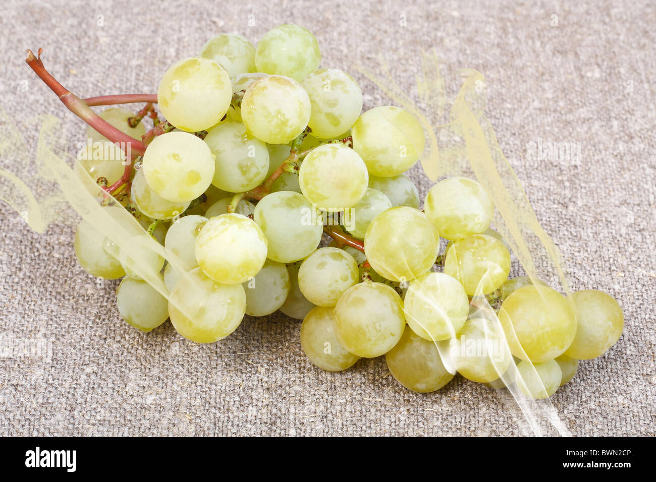 Muscat grapes white hi-res stock photography and images - Alamy