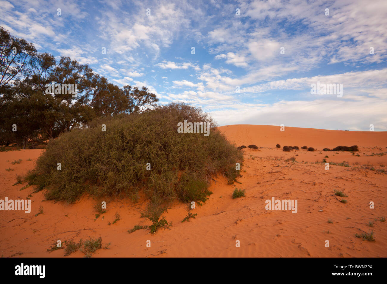 Wentworth new south wales hi-res stock photography and images - Alamy