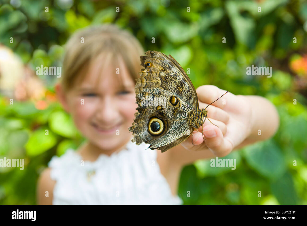 Butterfly girl hand hi-res stock photography and images - Alamy