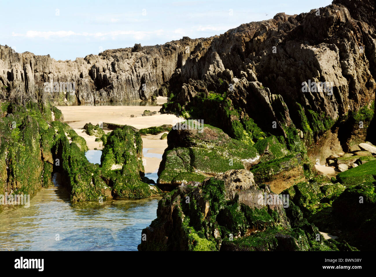 Spain Europe Galicia coast sea water coasts detail rock cliff beach ...
