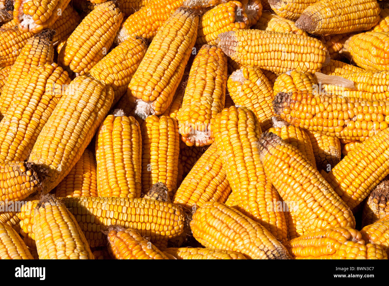 Agriculture china chinese drying hi-res stock photography and images ...