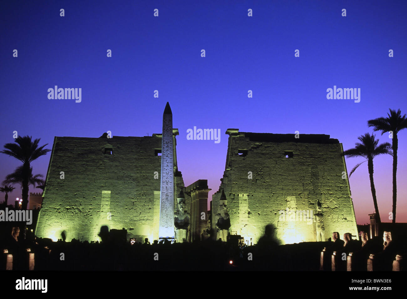 Luxor Temple Luxor Egypt North Africa Nile Evening causeway sphinx ...