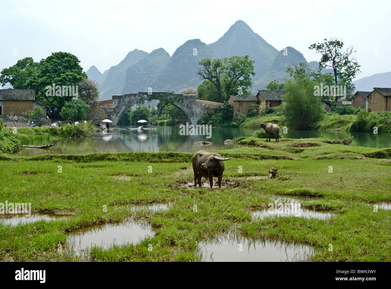 Yulong Bridge High Resolution Stock Photography and Images - Alamy