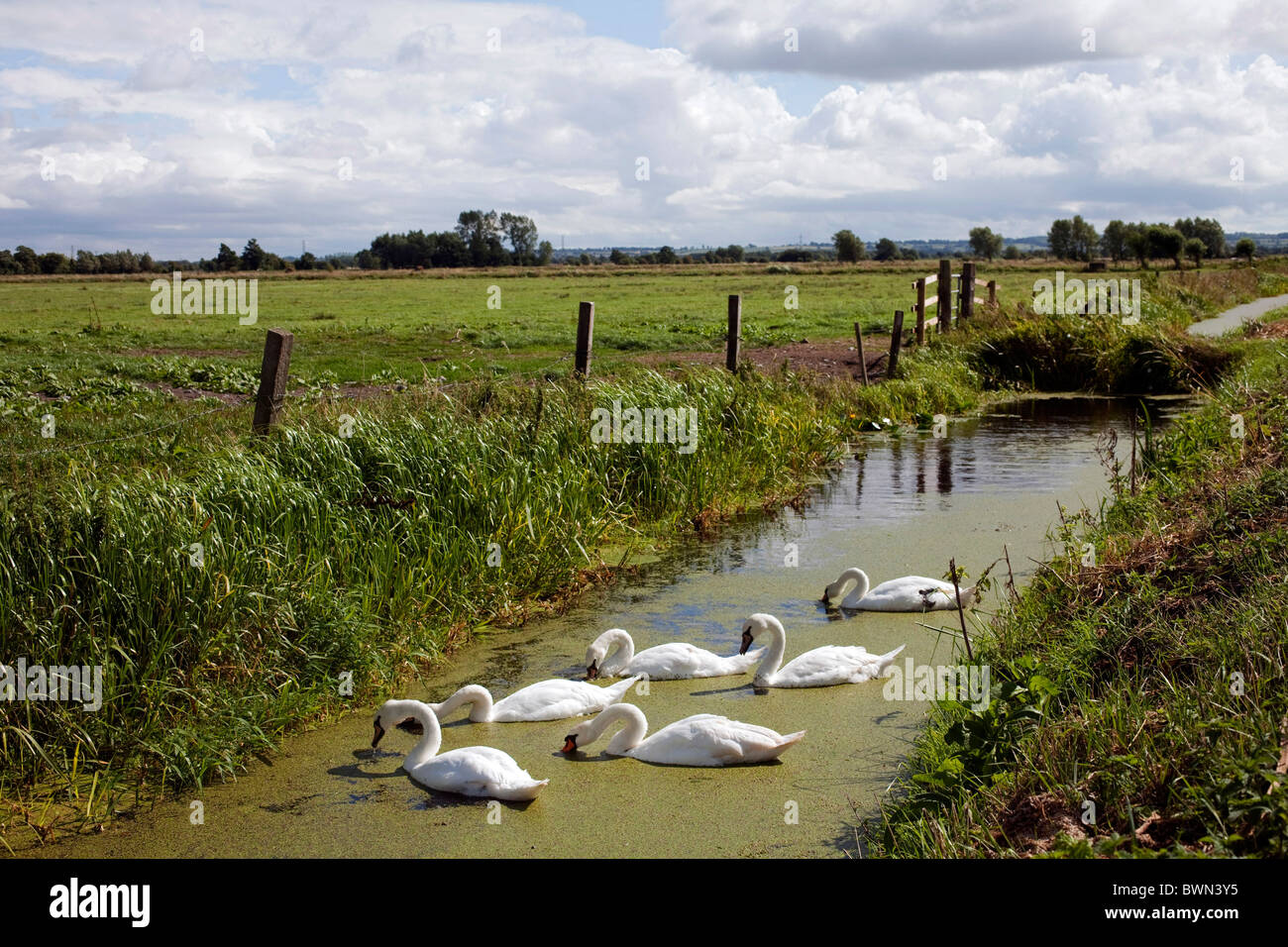 Man made water channels hi-res stock photography and images - Alamy