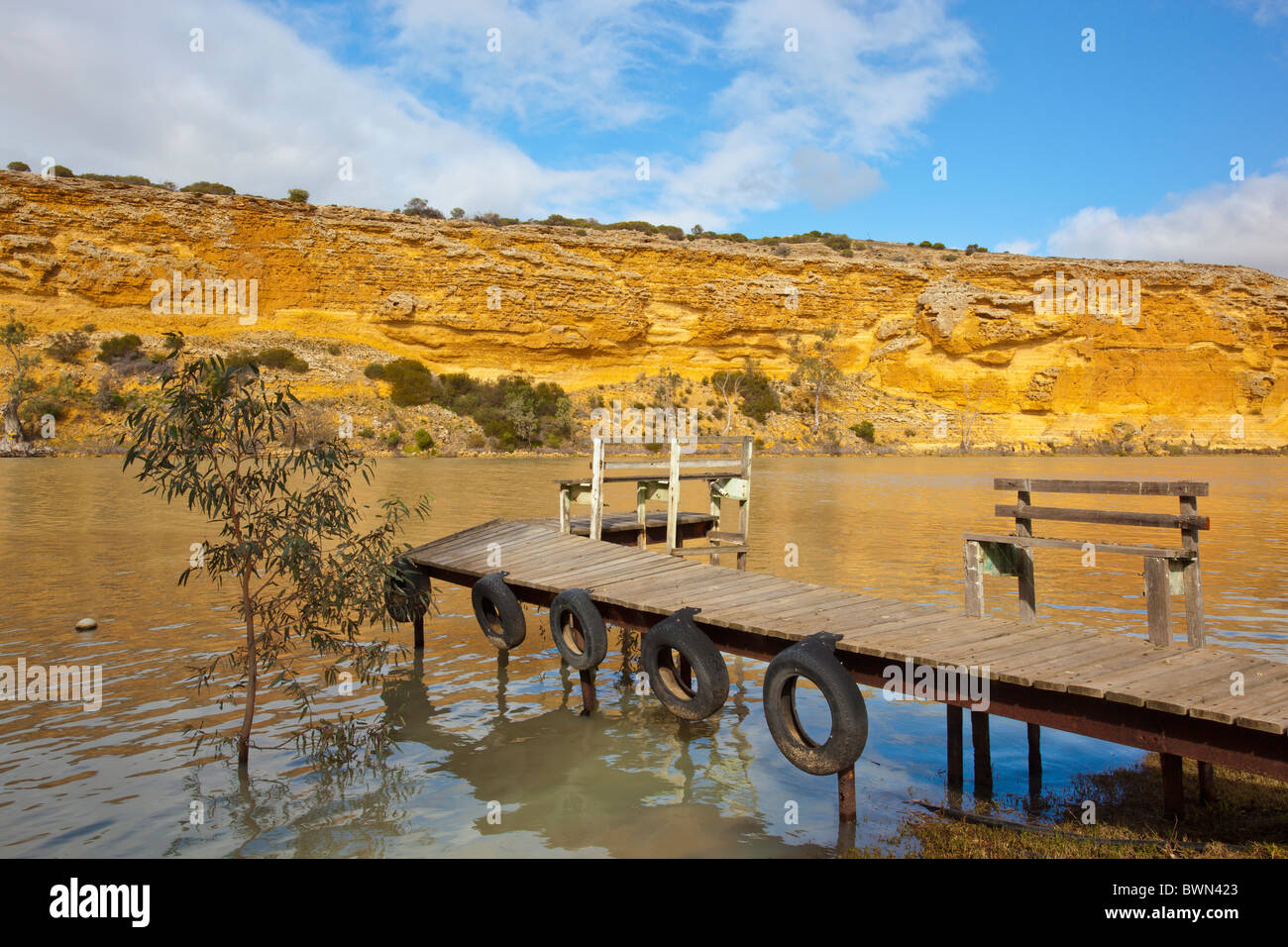 Afternoon light on golden cliffs and an old jetty on the Murray River ...